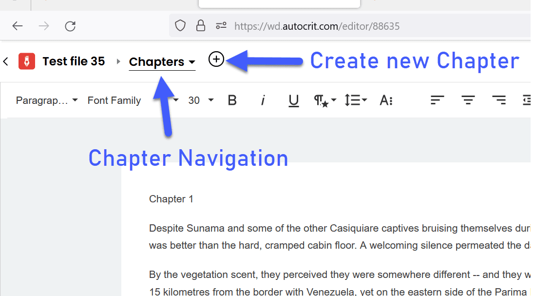 How do I work with chapters? - AutoCrit Online Editing