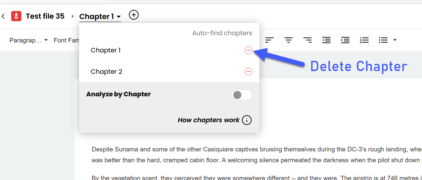 How do I work with chapters? - AutoCrit Online Editing